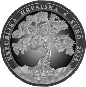 Croatian Silver 6 Euro "1100th Anniversary of the Croatian Kingdom ...