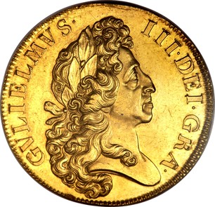 Great Britain Gold 5 Guineas "William III" 1701 KM# 508 | coinscatalog.NET