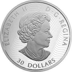 Canadian Silver 30 Dollars "Polar Bears" 2018 | coinscatalog.NET