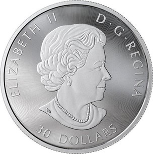 Canadian Silver 30 Dollars "Birds in the Backyard" 2019 | coinscatalog.NET