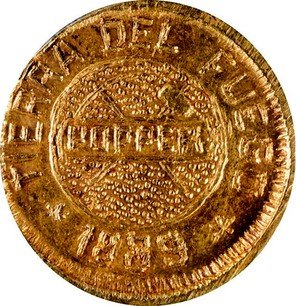 Argentine Gold 5 Gramos "Popper" 1889 KM# Tn7 | coinscatalog.NET