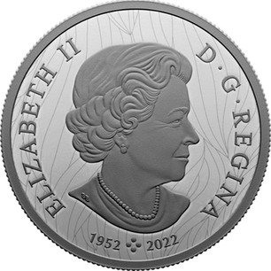 Canadian 2 Oz Silver 30 Dollars "Vantage Point - Bald Eagle by Robert ...