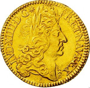 French Gold 2 Louis D'or "Louis XIV" 1690-1693 KM# 280.1 | coinscatalog.NET