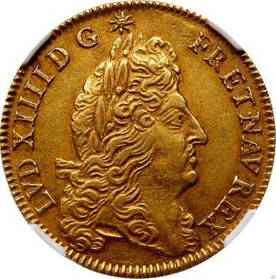 French Gold 2 Louis D'or "Louis XIV" 1690-1693 KM# 280.2 | coinscatalog.NET