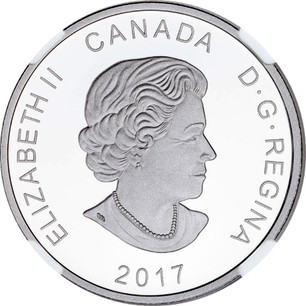 Canadian 1 Oz Silver 20 Dollars "Glistening North - Arctic Tern" 2017 ...