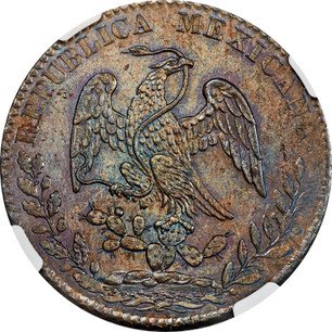 Mexican 8 Reales "Radiant Cap Pattern" 1829 | coinscatalog.NET