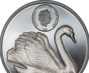 Cook Islands Silver 10 Dollars "Black Swan" 2023 | coinscatalog.NET