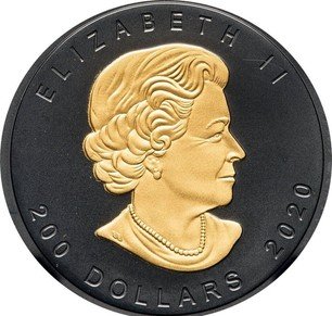 Canadian 1 Oz Rhodium plated Gold 200 Dollars "Elizabeth II 4th ...
